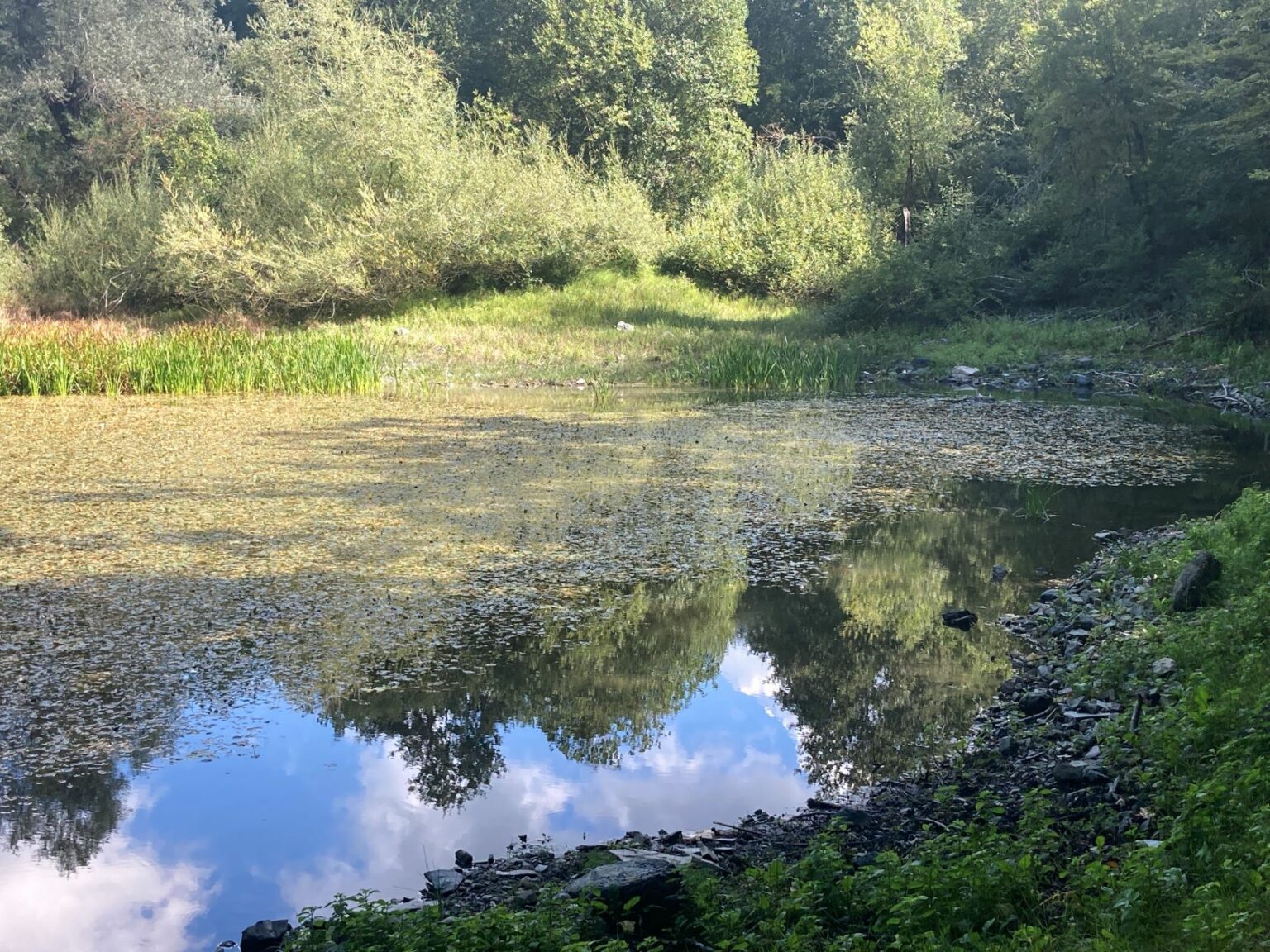 Lago di Faggio (Bardi) – CENSIMENTO BENI STORICI E NATURALI APPENNINO ...